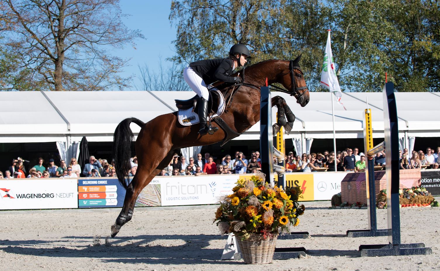 Julia Krajewski Wins Boekelo, Tamie Smith and Fleeceworks Royal Finish ...