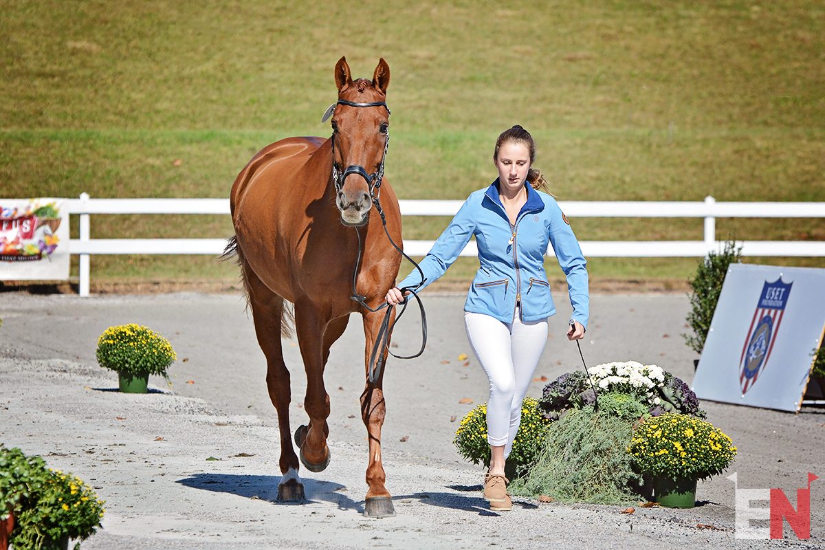Cassandra-Wallskog-and-Cooley-Castle | Eventing Nation - Three-Day ...