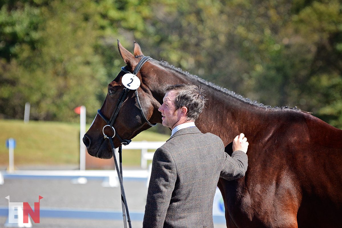 Tim-Bourke-and-Cooley-Rockmaster | Eventing Nation - Three-Day Eventing ...