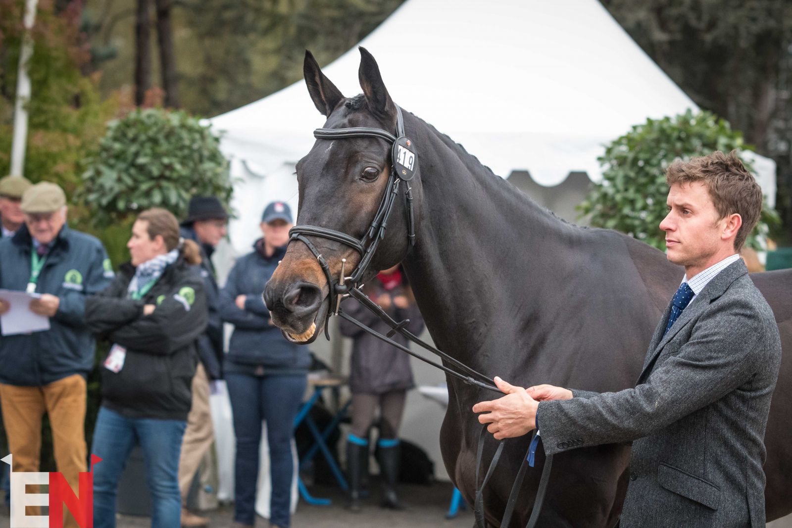 The Four Stars of Tom Crisp: Britain’s Under-the-Radar Superstar ...