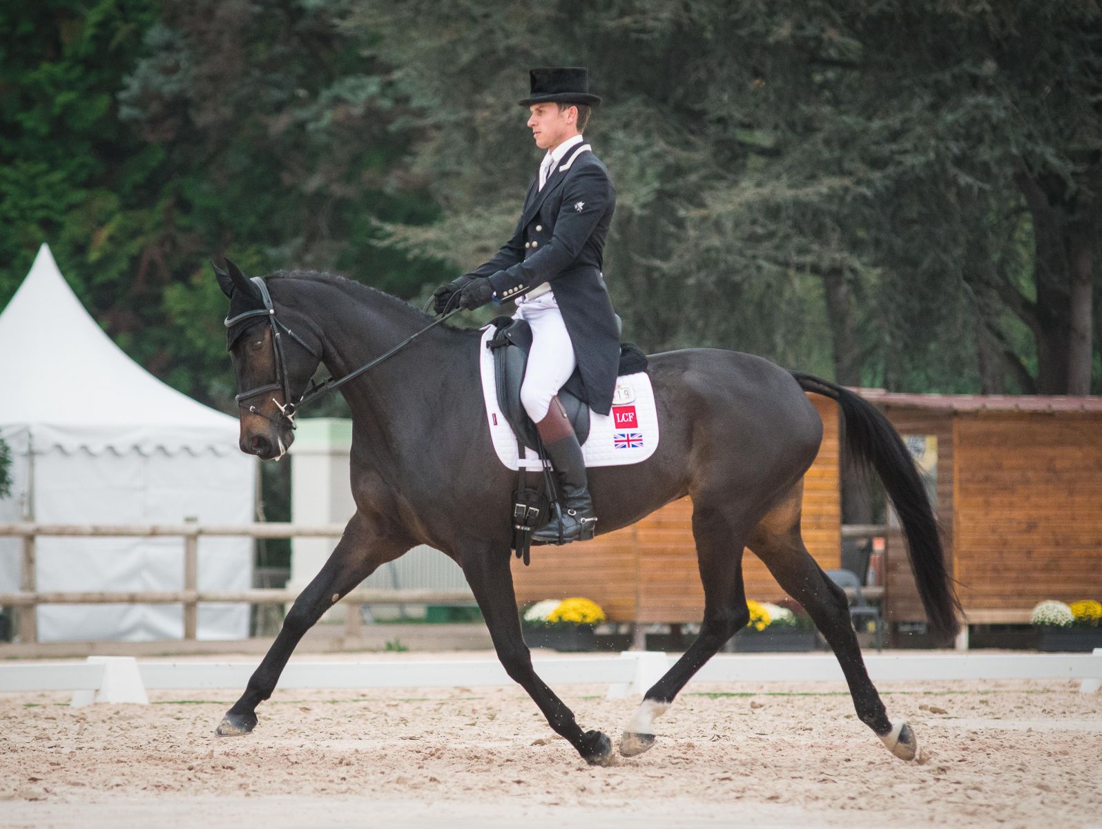 The Four Stars of Tom Crisp: Britain’s Under-the-Radar Superstar ...