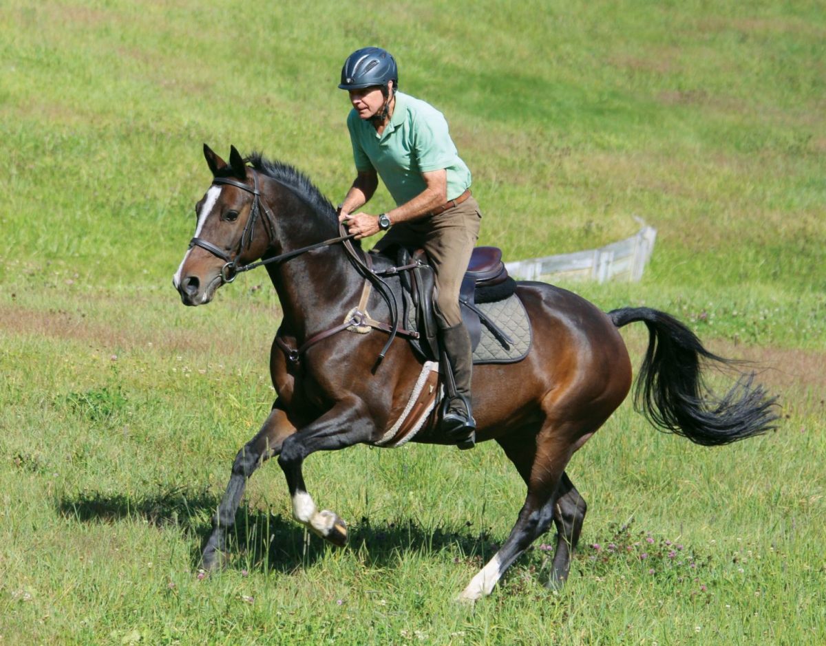 The Fine Art of the ‘Gentle Pester’ | Eventing Nation - Three-Day ...