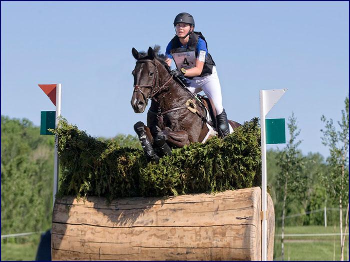 Sport Horse Nation Spotlight: Five Horses for Sale for the Buyer on a ...