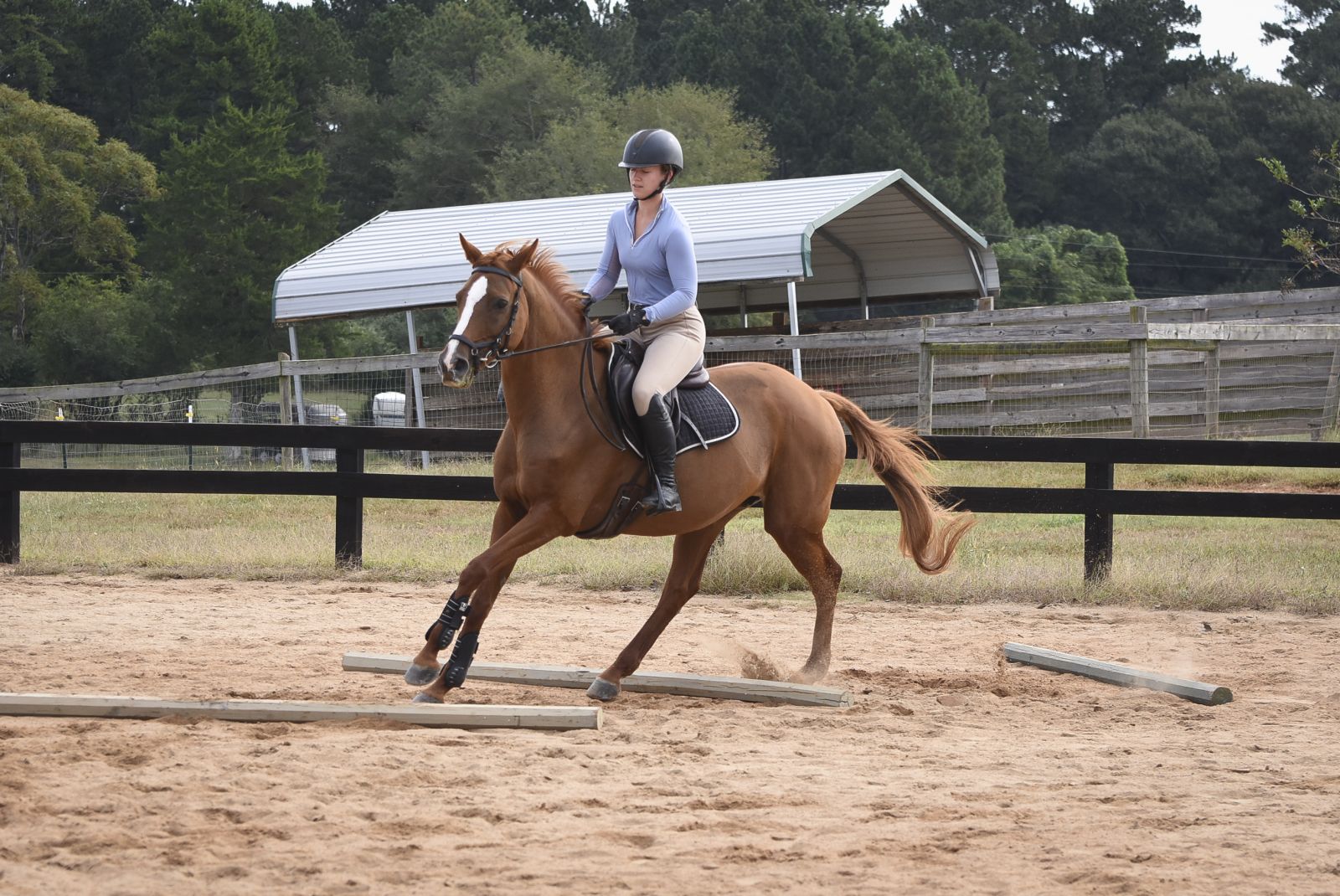 Weekly Training Tip from Kate Chadderton: Make The Most of Your Winter ...