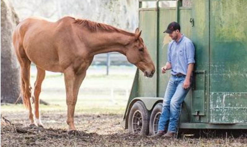 Book Review: ‘In the Middle Are the Horsemen’ by Tik Maynard | Eventing ...
