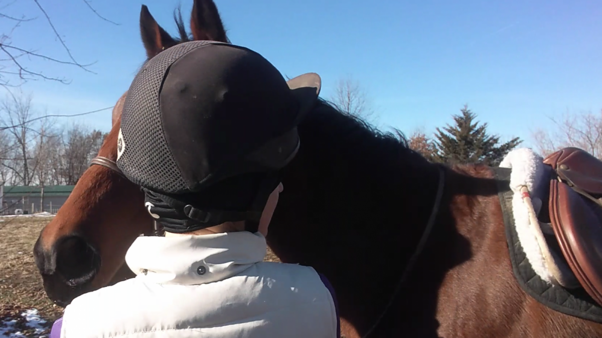 Friday Fashion Forecast: Warm Ears and Audio with TooksHats! | Eventing ...