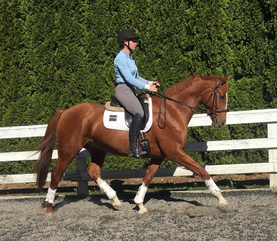 Sport Horse Nation Spotlight: 6 Christmas Chestnuts | Eventing Nation ...