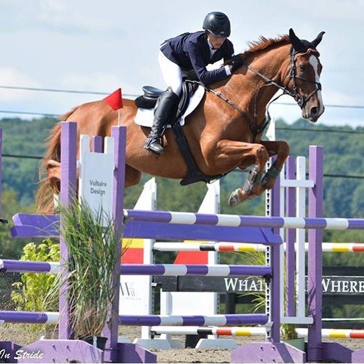 Sport Horse Nation Spotlight: 6 Christmas Chestnuts | Eventing Nation ...