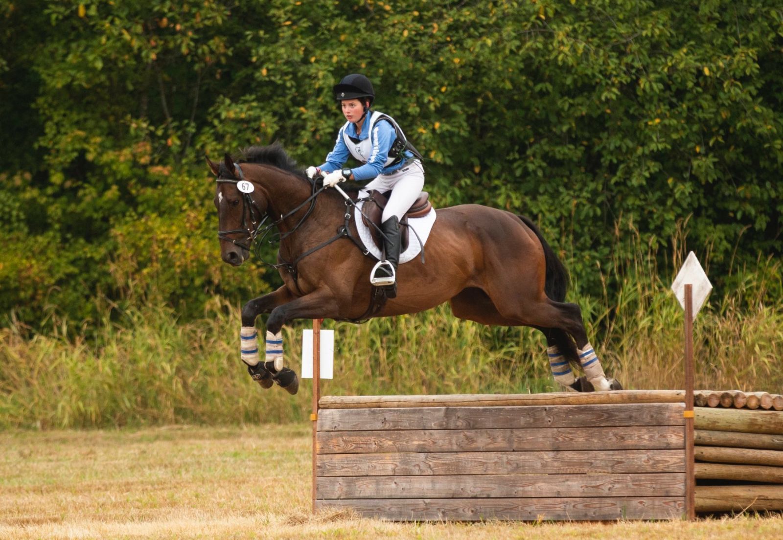 Latest Craze: An EN ‘OTTB Wishlist’ Success Story | Eventing Nation ...