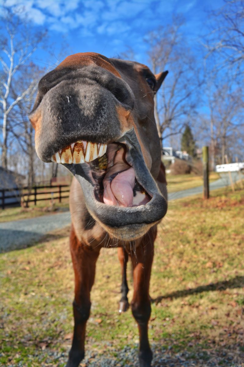 Thursday News & Notes from Taylor Harris Insurance Services (THIS ...