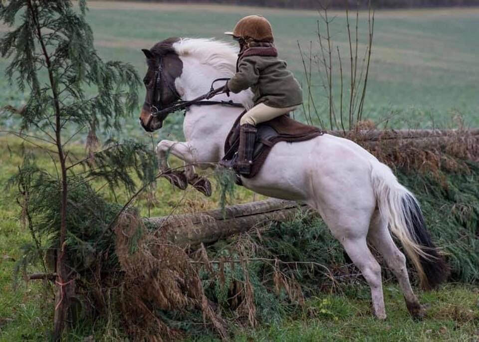 Thursday Video from SmartPak: These Fox Hunting Toddlers Know No Fear ...