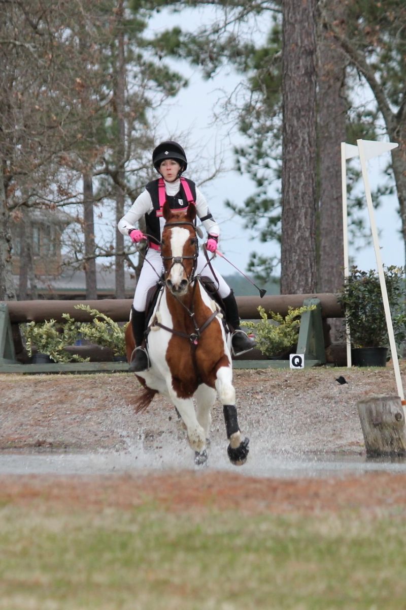 Stable View Aiken Opener Recap + Photo Gallery | Eventing Nation ...