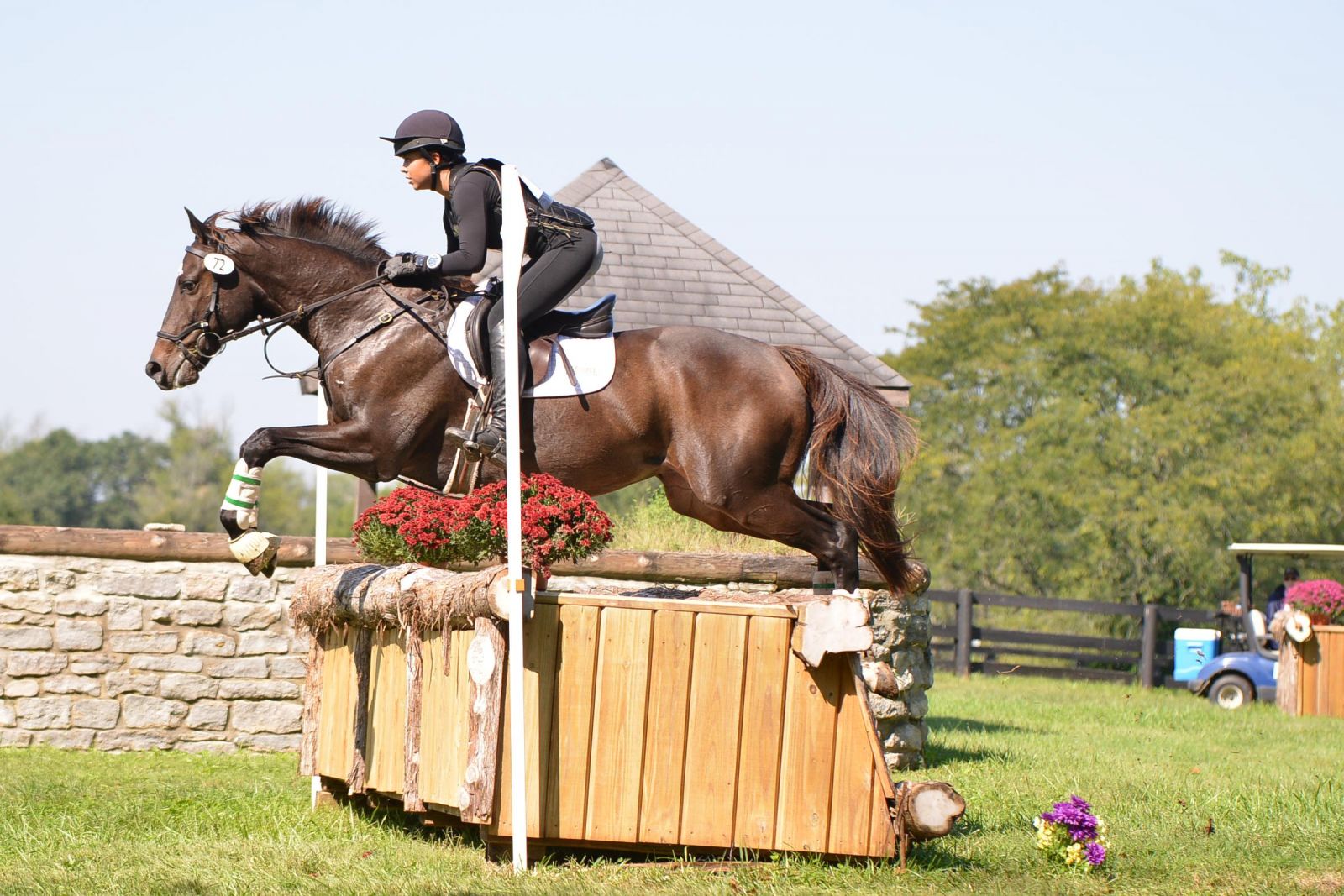 Sport Horse Nation Spotlight: 5 Excellent Ex-Racehorses | Eventing ...