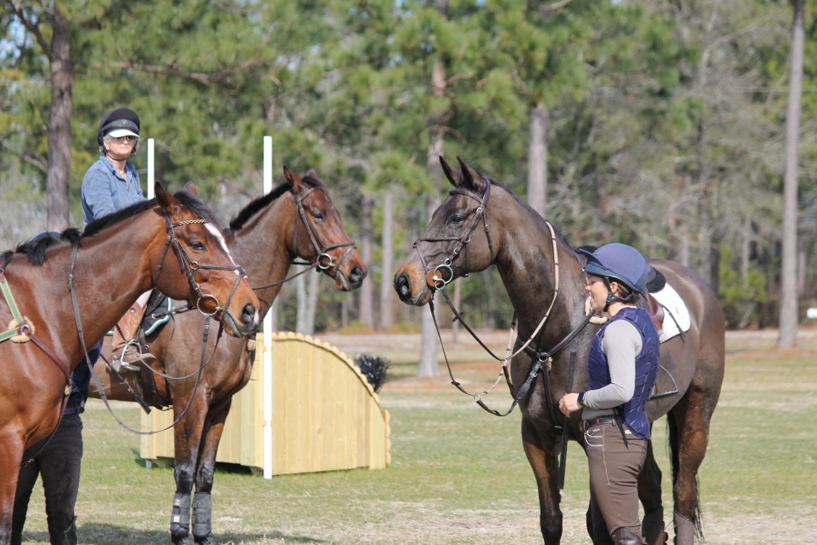 Stable View Farm’s Enhanced Social Distancing Procedures … a Model for ...