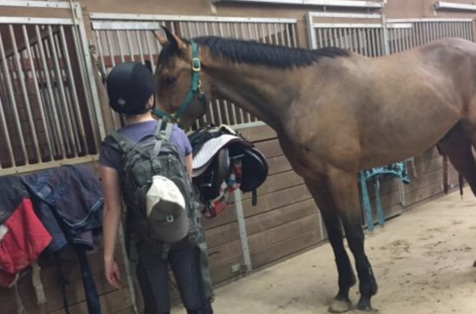 Best of HN: Essentials for a Properly Packed Ring Bag | Eventing Nation ...