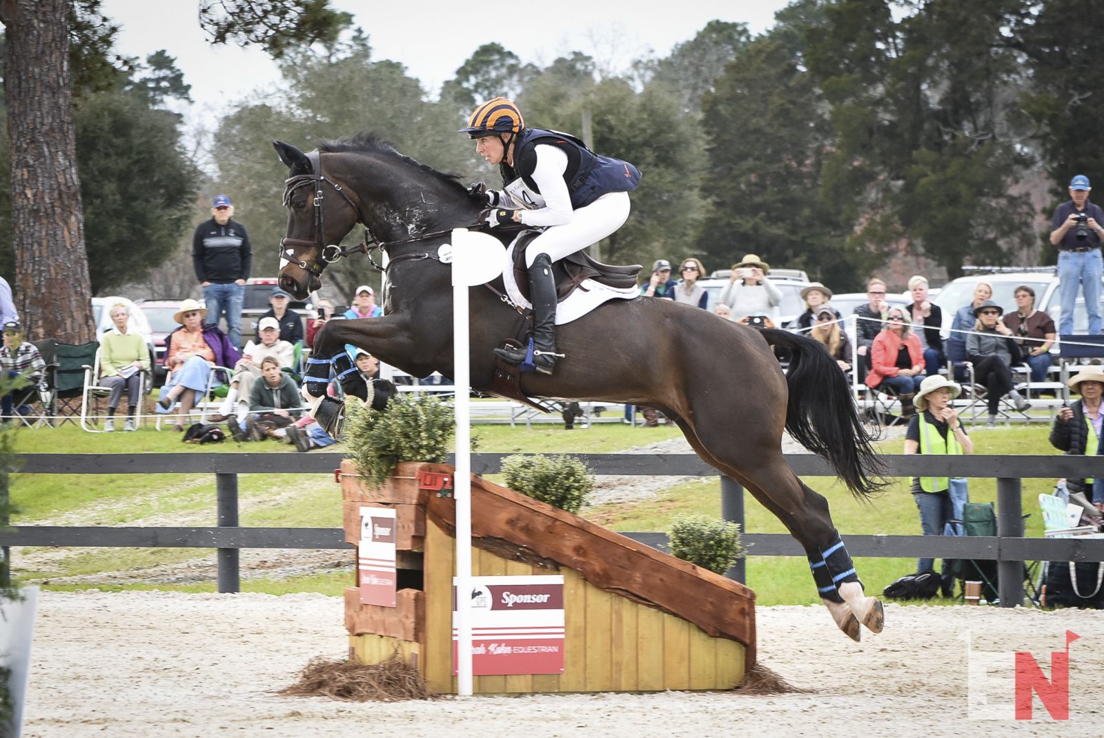 ‘He Was Magic’: Fernhill By Night Flies to Win Grand-Prix Eventing at ...