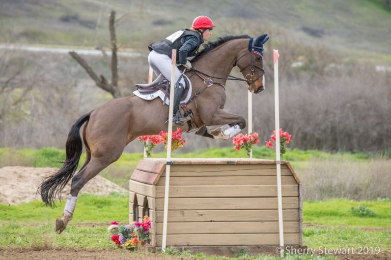 Leslie Wylie | Eventing Nation - Three-Day Eventing News, Results ...