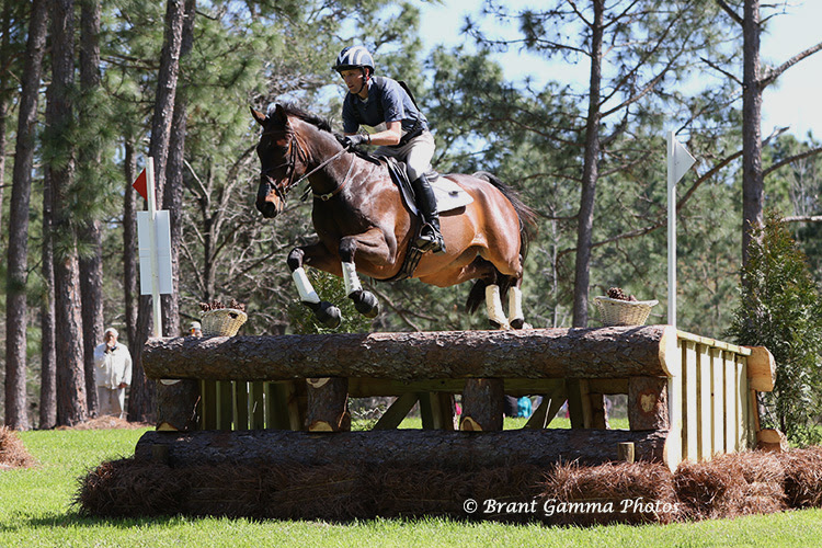 Are You Up For The Challenge? Carolina Horse Park Races to Raise Funds ...
