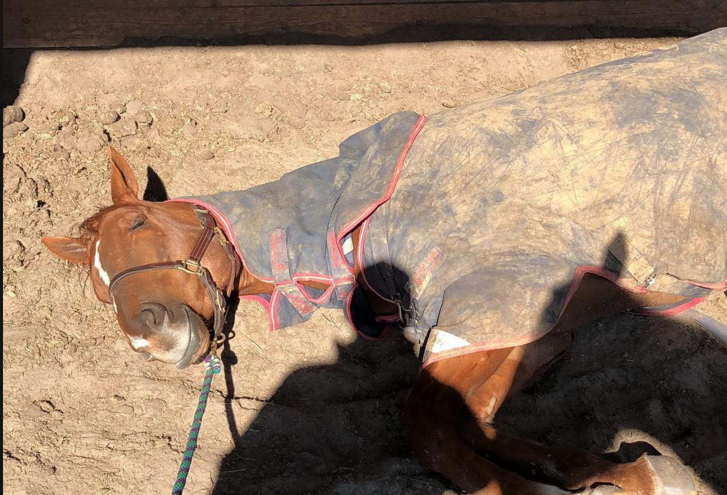 Jennifer Clover's Instagram, Twitter & Facebook on IDCrawl