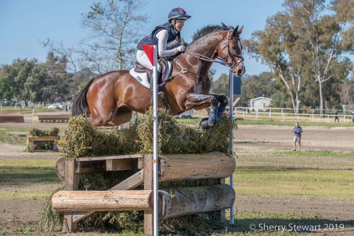 2020 Emerging Athlete Eventing 25 Applications Are Due Today ...