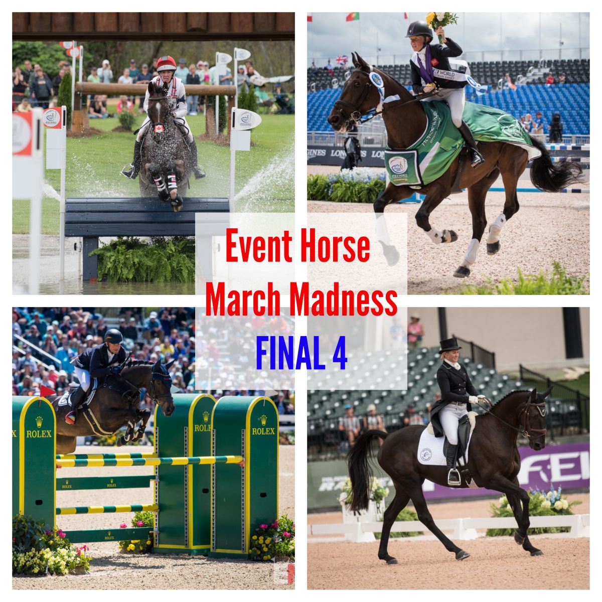 Event Horse March Madness: Final 4! | Eventing Nation - Three-Day ...