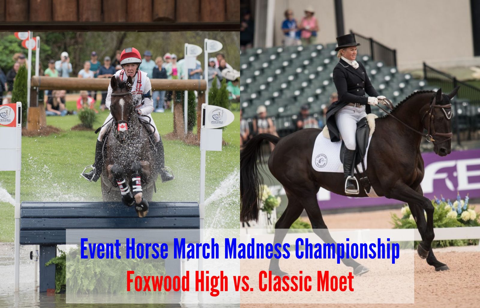 Event Horse March Madness: Championship! Foxwood High vs. Classic Moet ...
