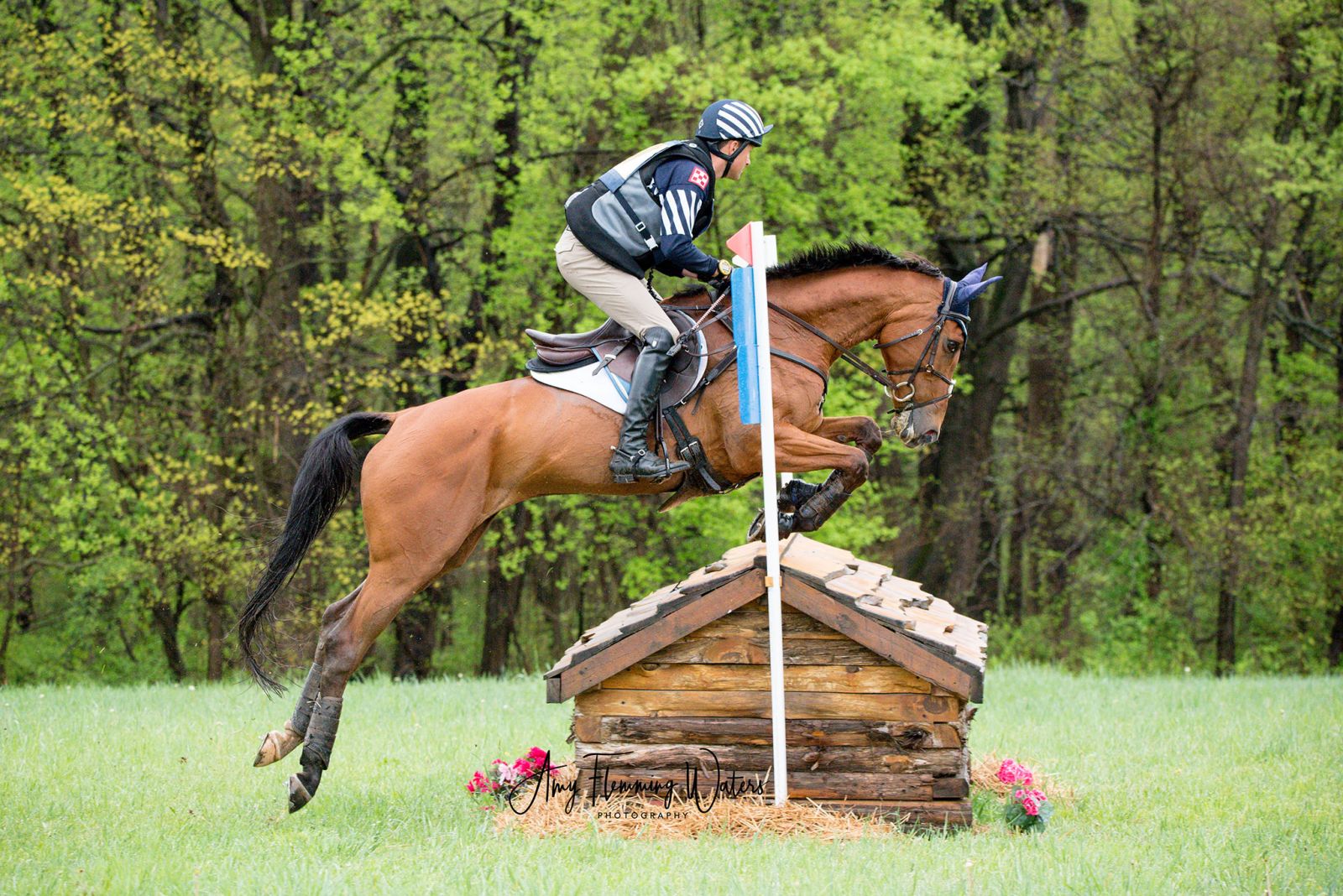 Boyd Martin & On Cue Conquer Fair Hill CCI4*-S | Eventing Nation ...