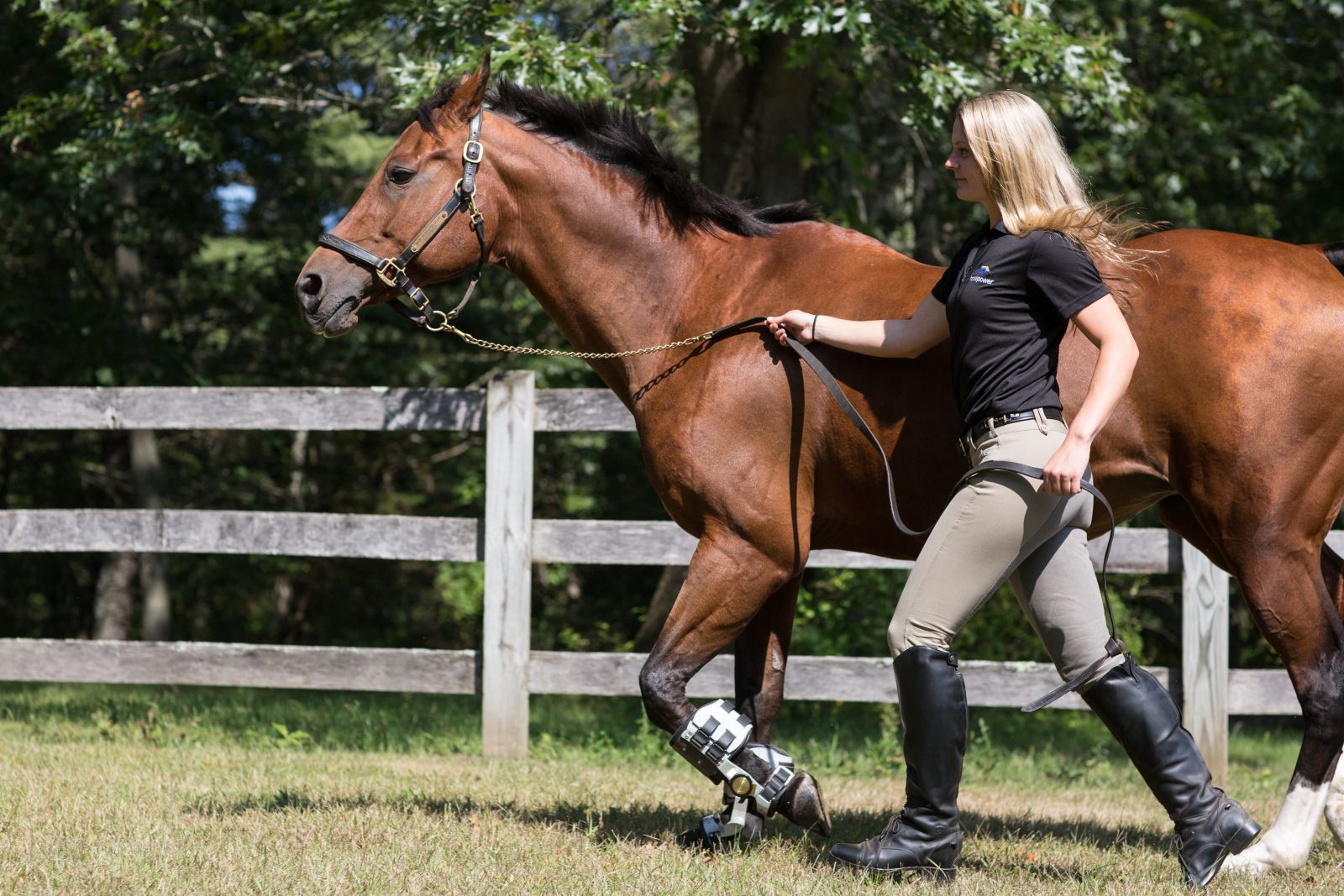 ‘It’s a Game Changer’: Horsepower Technologies Introduces FastTrack ...