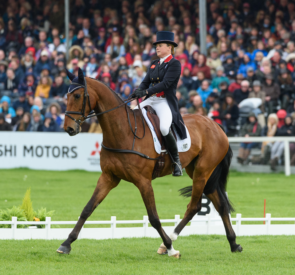 Friday Afternoon at Badminton: Townend Breaks Record, Makes History All ...