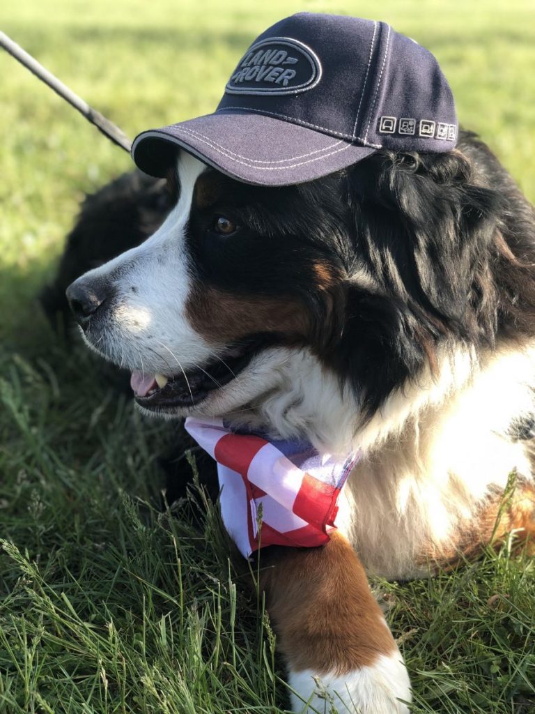 Vote for the Winner of EN’s 8th Annual Kentucky Top Dog Contest ...