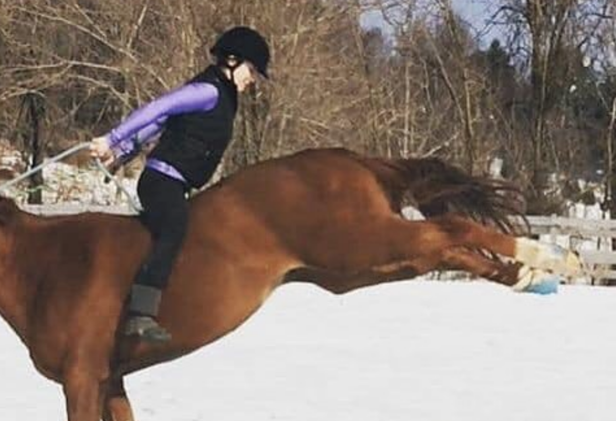 #EventerFailFriday: Unorthodox Style | Eventing Nation - Three-Day ...