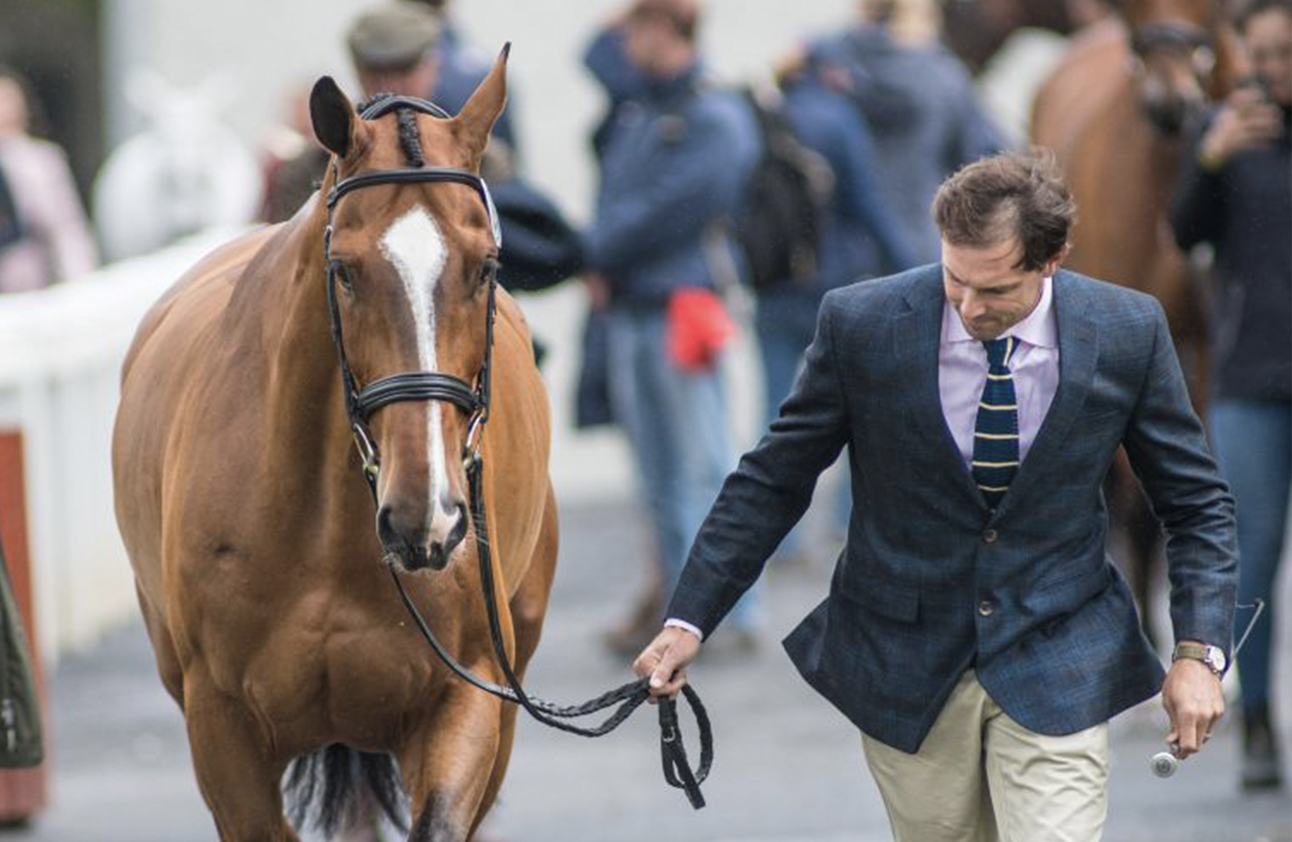 Tattersalls: All Pass CCI4* First Horse Inspections | Eventing Nation ...