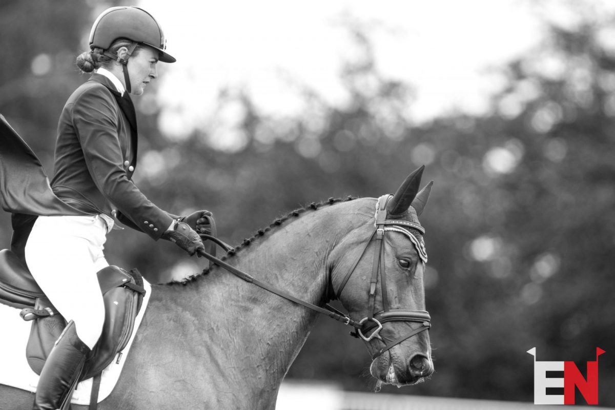 BLR3378 | Eventing Nation - Three-Day Eventing News, Results, Videos ...