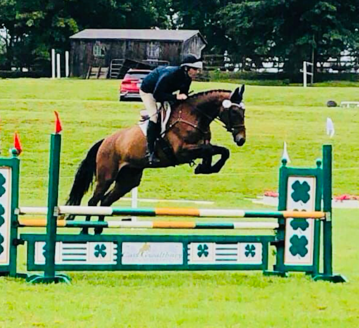 Sport Horse Nation Spotlight: Training Level Troopers | Eventing Nation ...