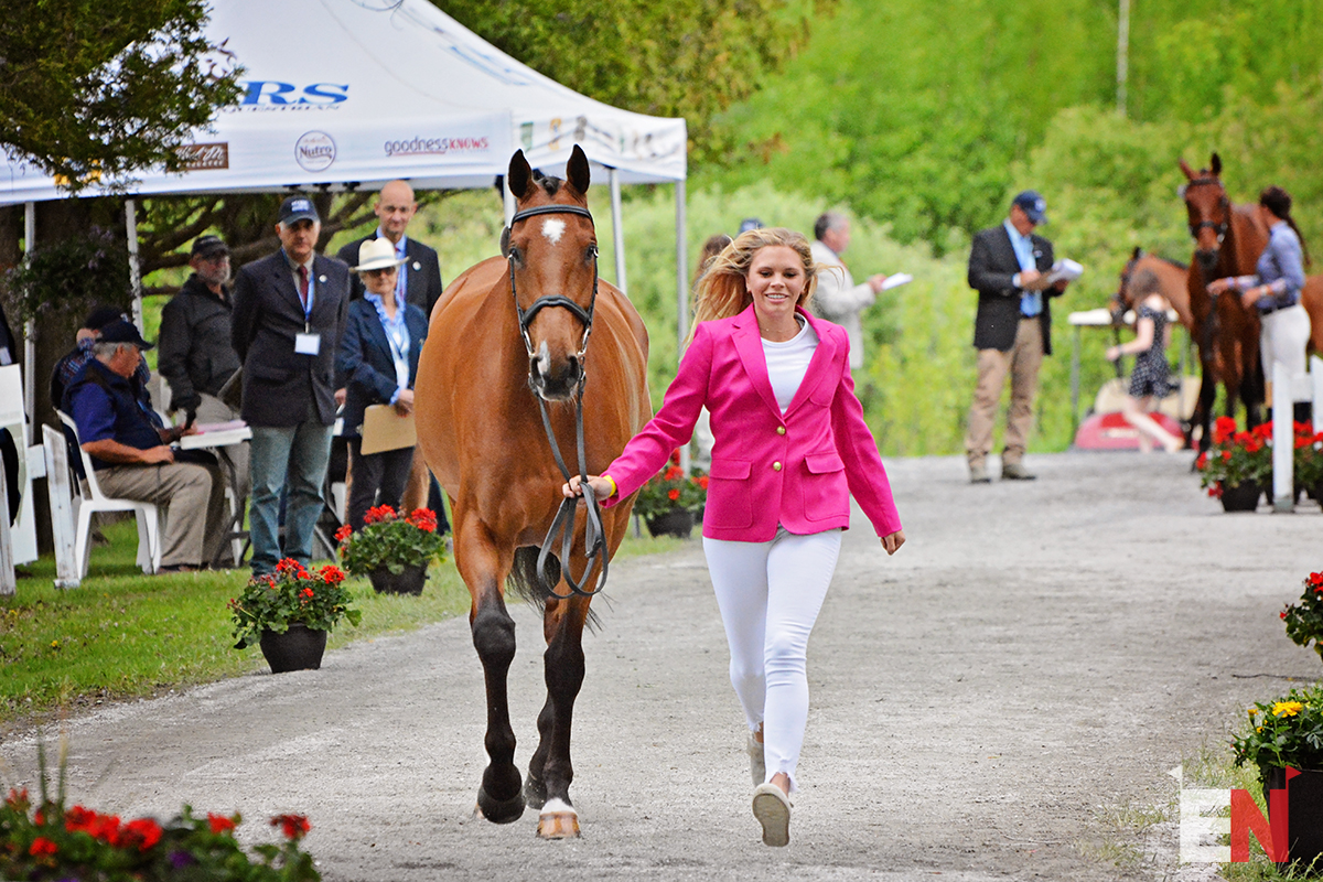 All 115 Horses Pass First Inspection at Bromont CCI Three-Day Event ...