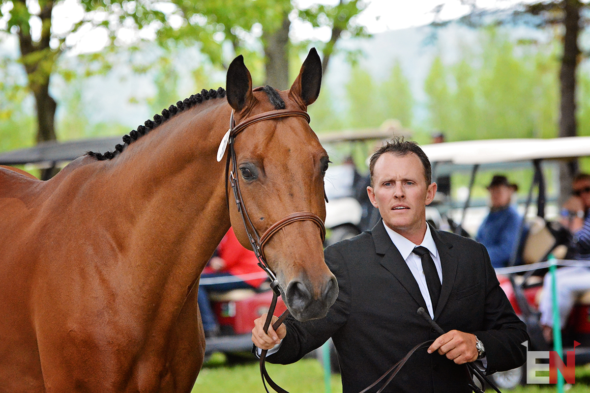 Every Step they Take: New Look Live Updates from the Main Arena on ...