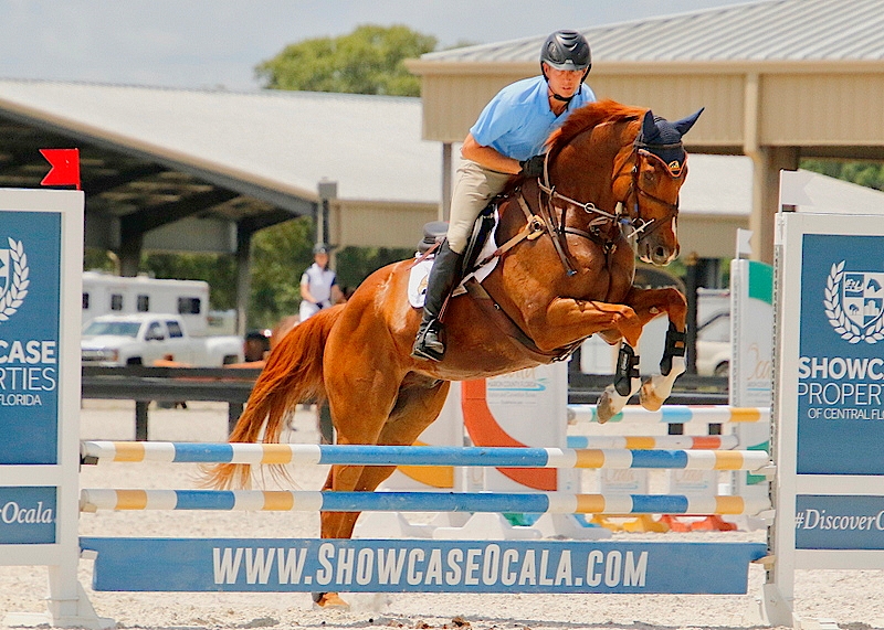Jon Holling’s OTTB Blog: The Restarting of Ragtime Rebel | Eventing ...
