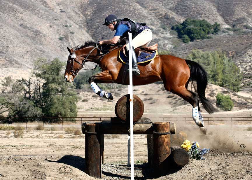 The Unorthodox Way: An Unlikely Pair’s Journey to Upper Level Eventing ...