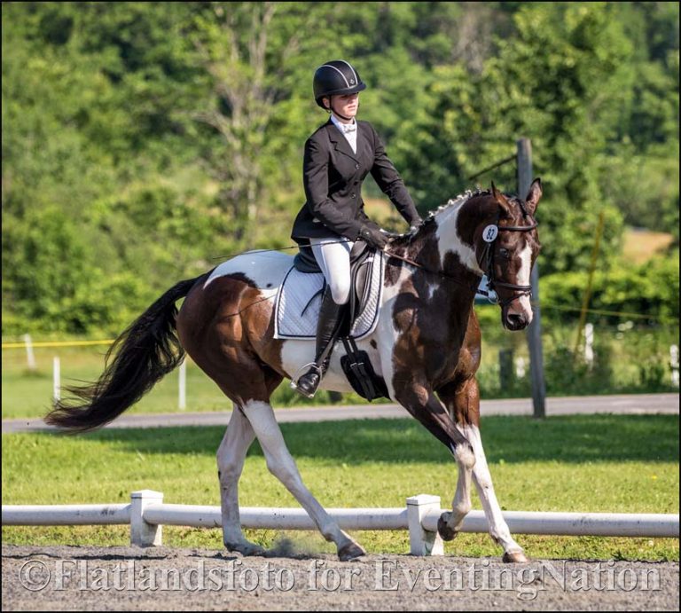 Breaking Down Beginner Novice and Novice Dressage with Allison Kavey ...