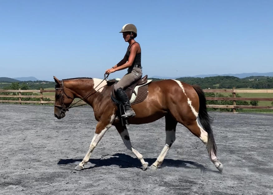 And the Winner of the uvex ‘Baddest Equestrian Tan Lines’ Contest is ...