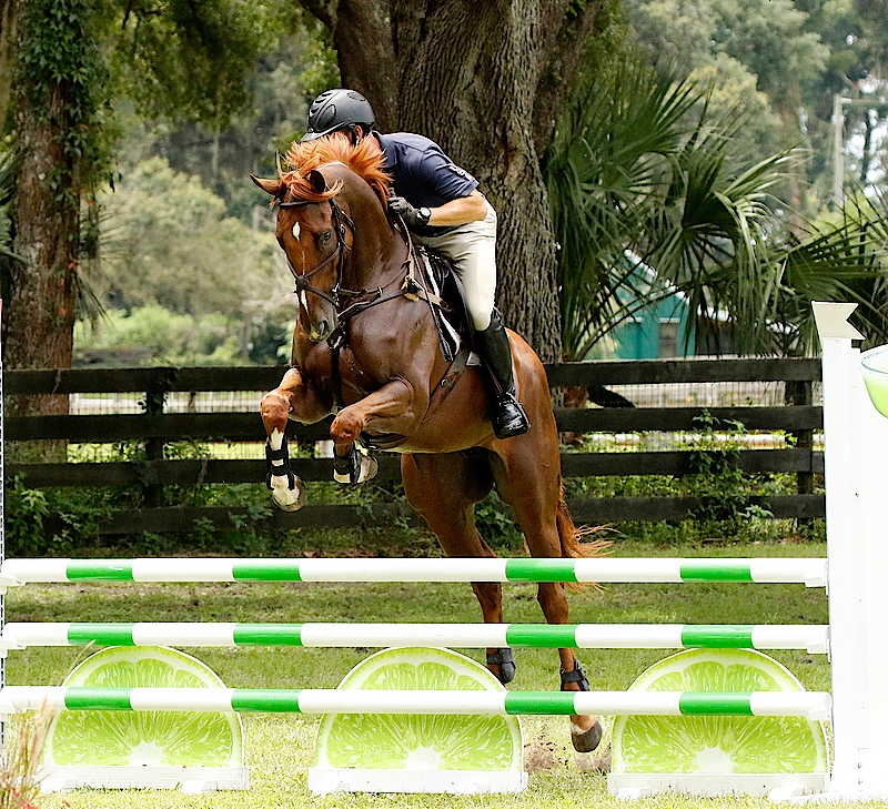 Jon Holling’s OTTB Blog: Ragtime Rebel’s Show Jumping Dress Rehearsal ...