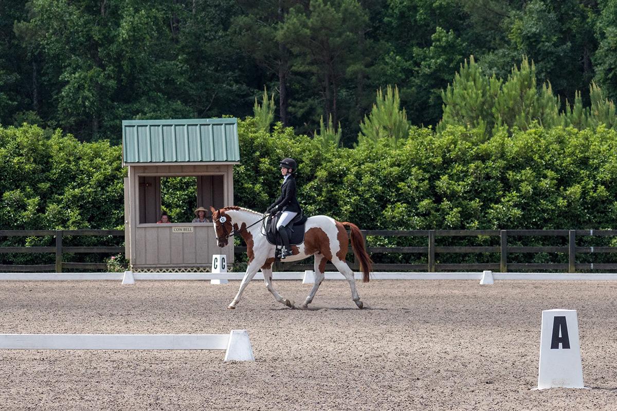 Lessons Learned: We’re Great at Being Average (Area III Champs Recap ...