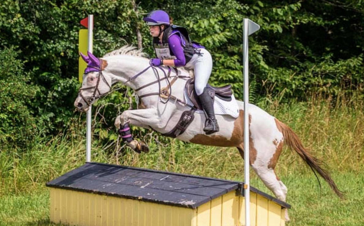 Who Jumped It Best? GMHA Junior Beginner Novice Edition | Eventing ...