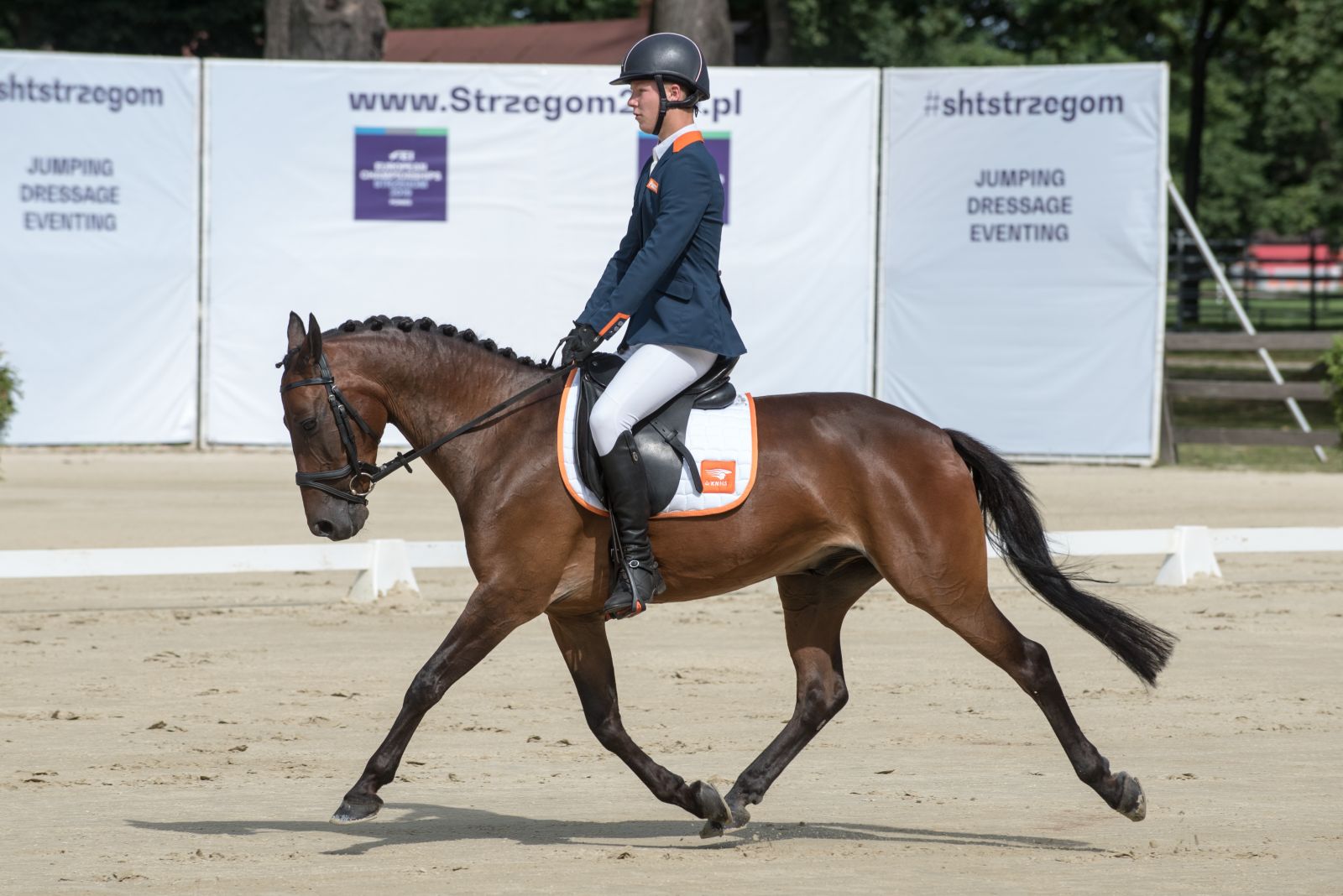 Pony Power! Double Gold for Great Britain at FEI European Championships ...