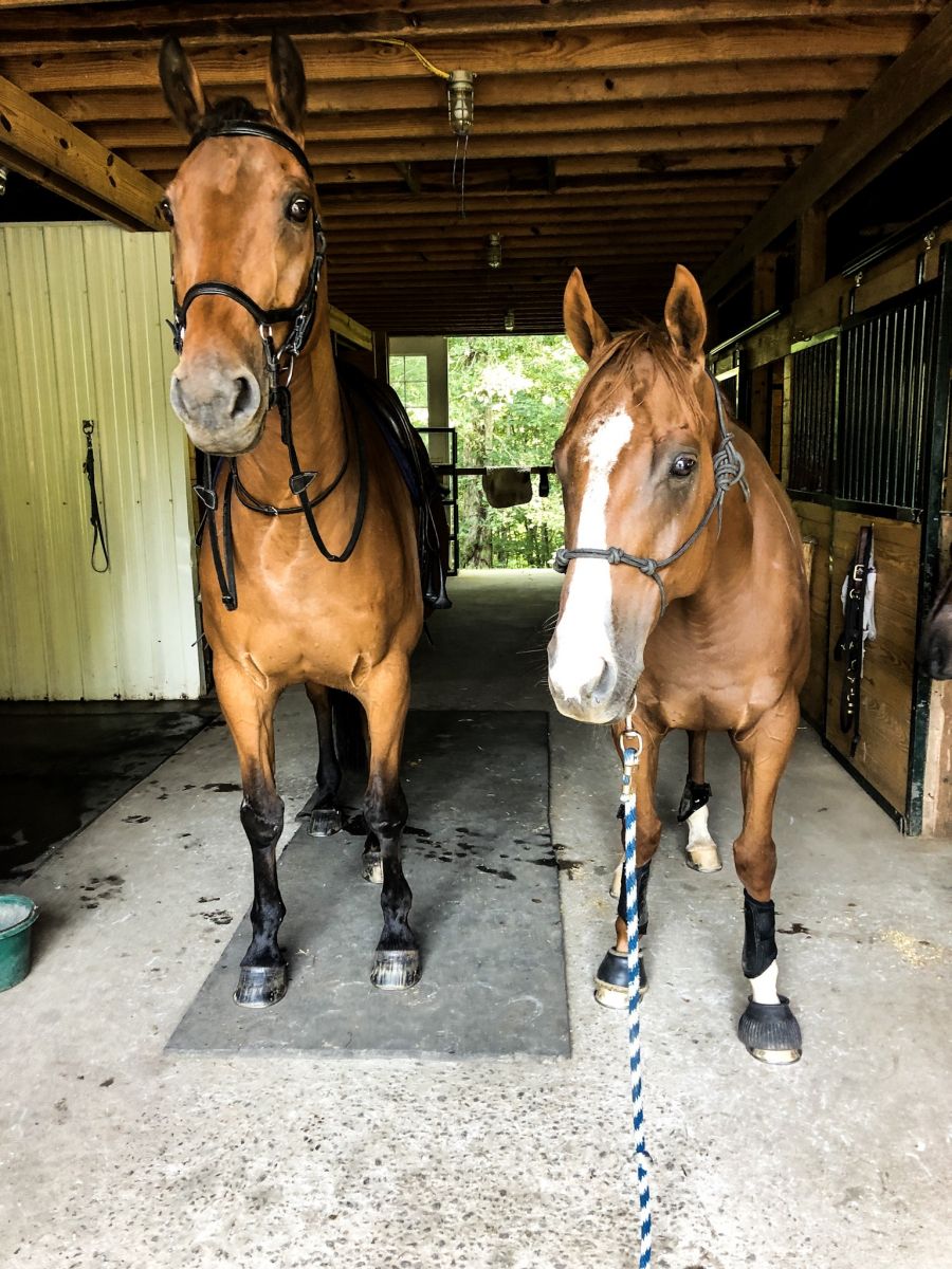 Thursday News & Notes from Taylor Harris Insurance Services (THIS ...