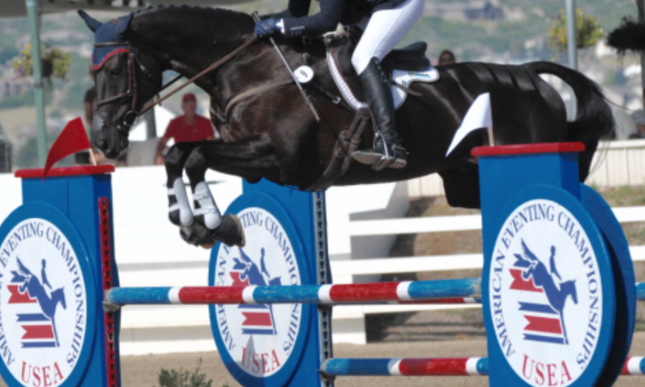 Your Ultimate Guide to the 2019 American Eventing Championships ...