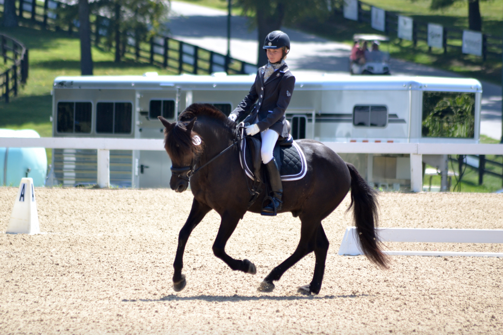 We Are All ‘In Our Feelings’ for AEC Jr. Beginner Novice Rider 14 ...
