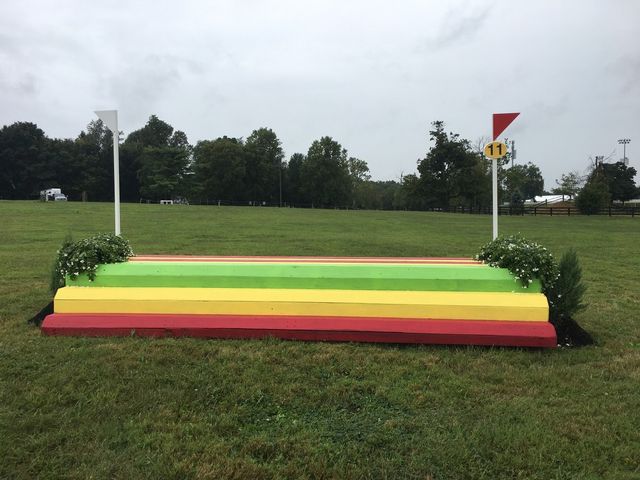 AEC Beginner Novice Cross Country Preview: Yellow Is the New Blue ...