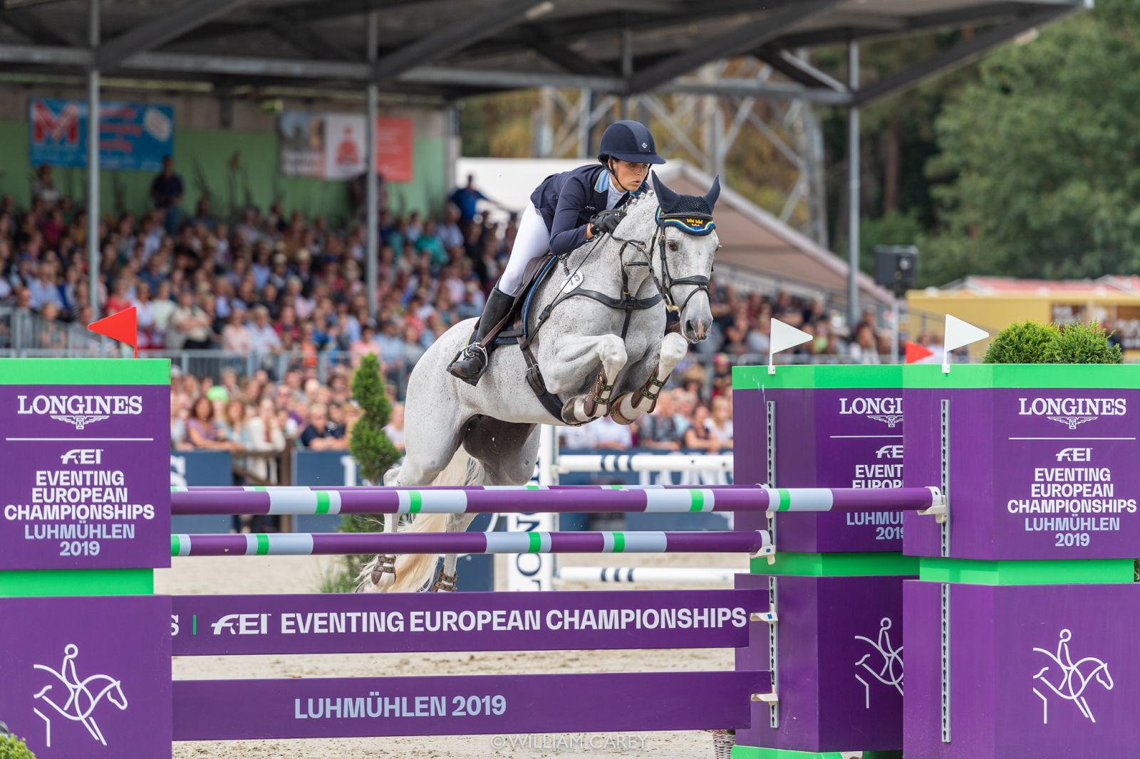 The European Championships: A Golden Girl, a Chipmunk, and the Red ...