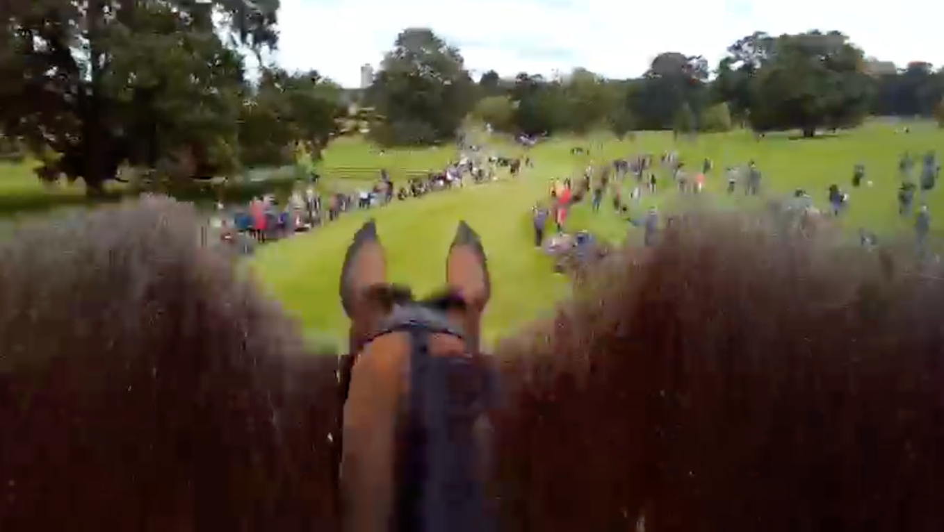 Wednesday Video from Kentucky Performance Products: Beast Around ...